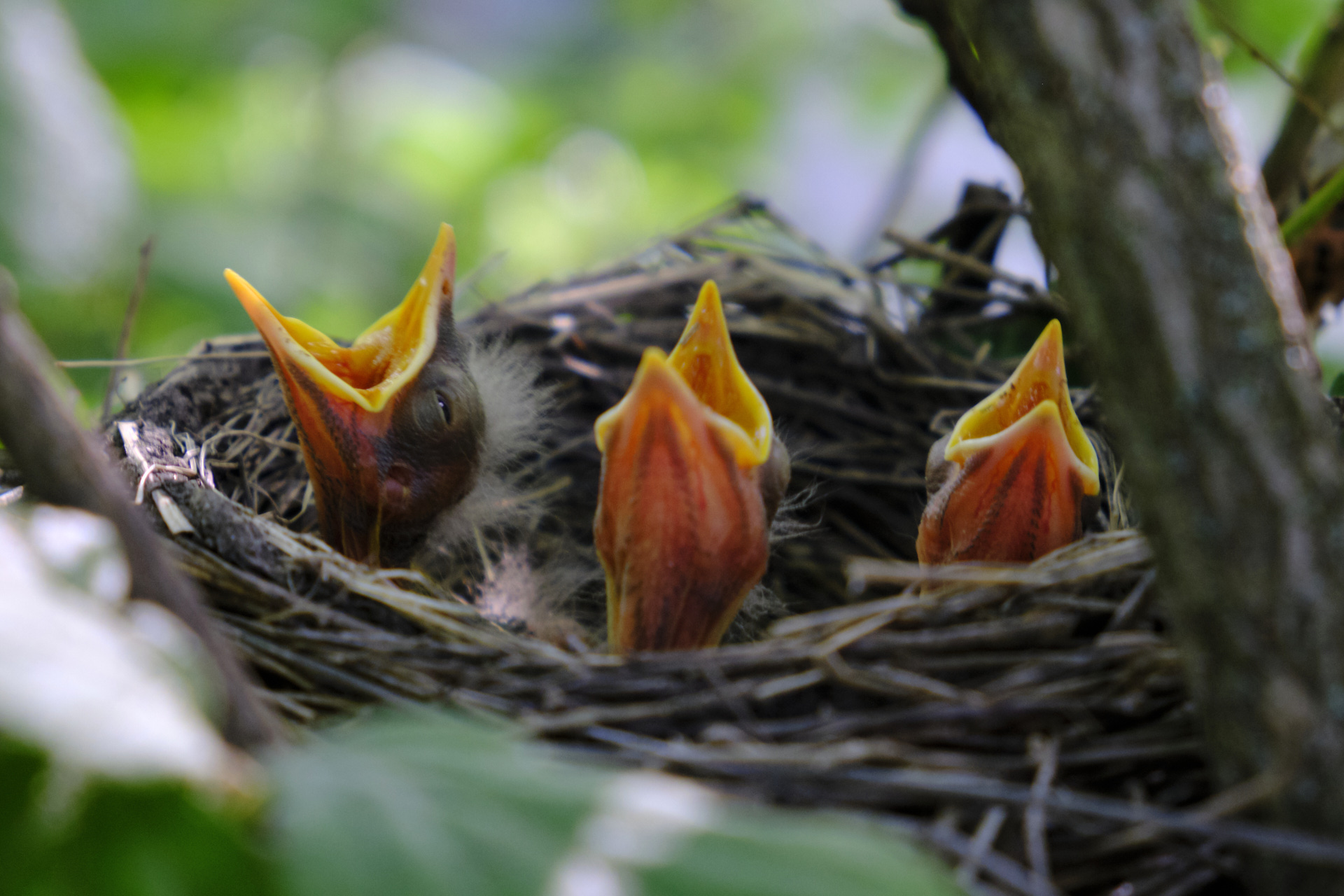 About Our Care – Little Lamb Doula Care